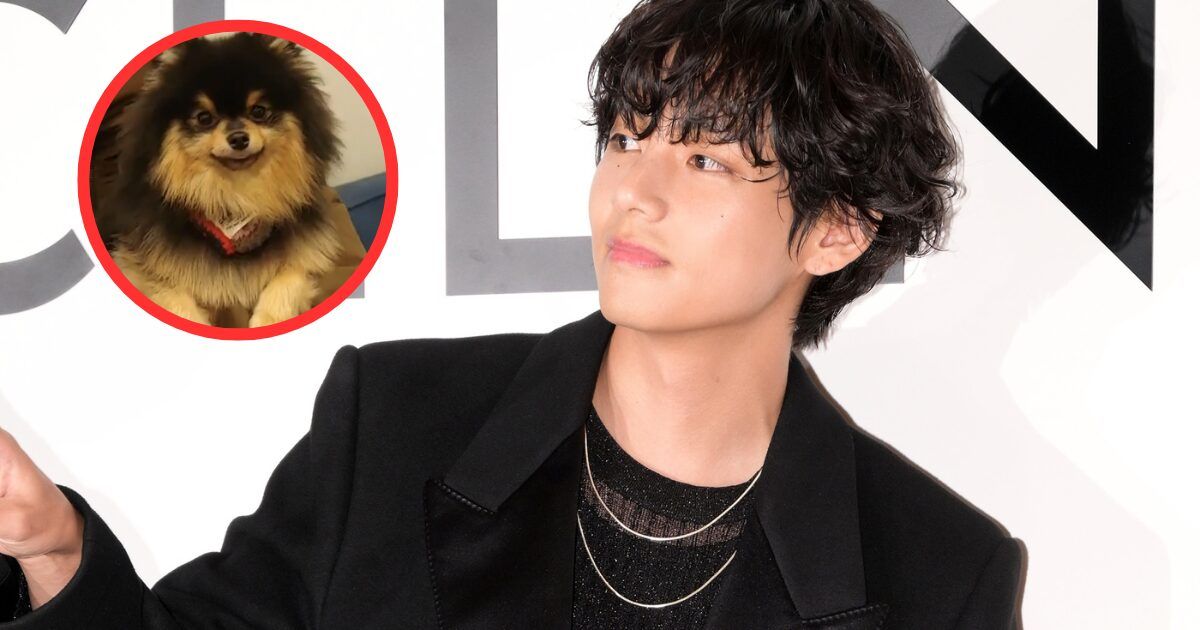 Why Yeontan Was Destined To Meet The Best Dog Dad Around — BTS’s V ...